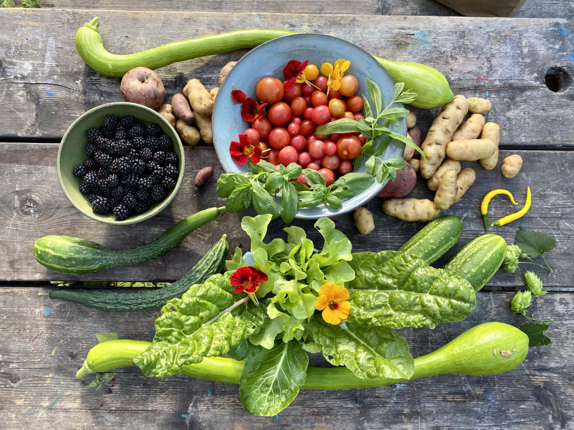 Hatchet & Seed - Edible Garden Design & Build in Victoria, BC